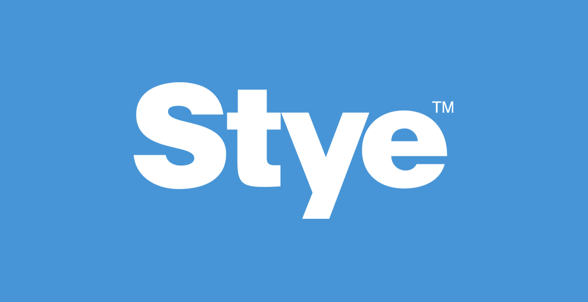 Style Network